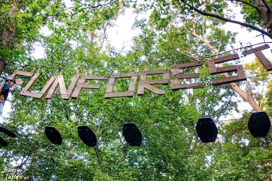 Fun Forest Rotterdam Review - Jonesin' For Taste